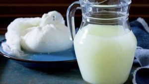 SIRUTKA: Lijek za sve bolesti i dug život… - Ljubitelji mačaka i ...